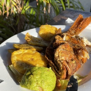 Restaurantes en Panamá : Degusta Panamá [Sitio Oficial]