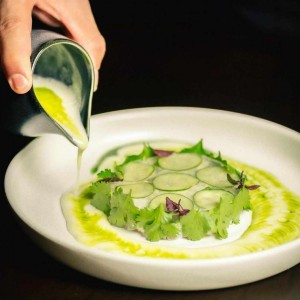Restaurantes en Panamá : Degusta Panamá [Sitio Oficial]